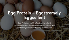 Clensta | The Better Way